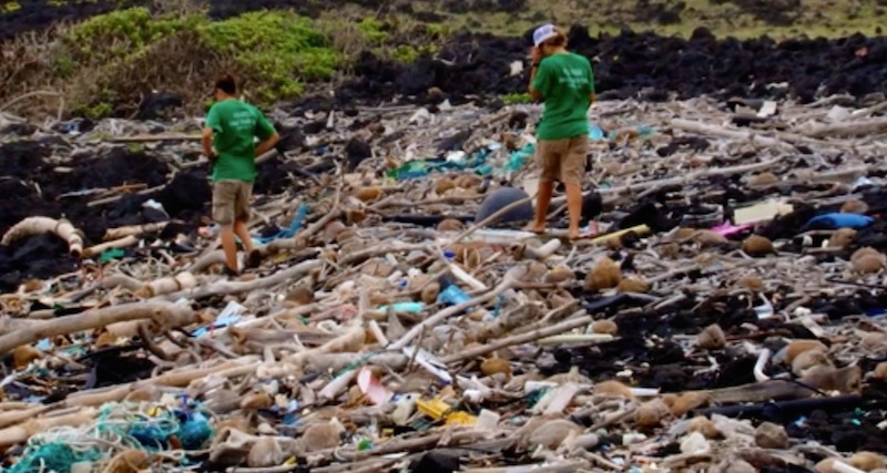 Waste Deep - Life in the Right Direction